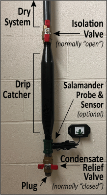 How To: Purge a Drum Drip / Low Point Drain / Auxiliary Drain in a Dry ...